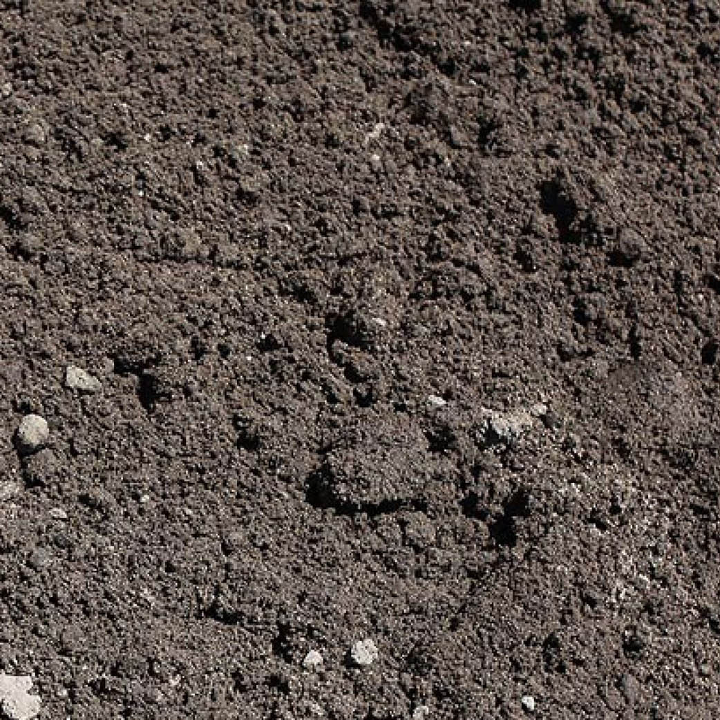 BS3882 Topsoil /// Thomas Bros Ltd.